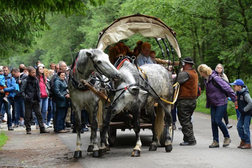 TPN odpowiada na manipulacje TVN ws. koni znad Morskiego Oka ...